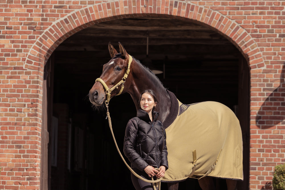 Equestrian sweatshirts and jackets for summer 2020 - new arrivals in E ...