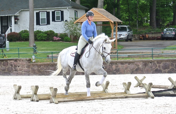 Cavaletti, why is it worth to work on the ground poles - EQUISHOP ...