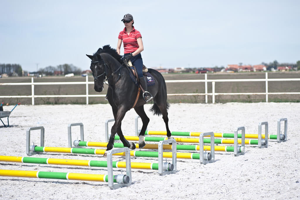 Cavaletti, why is it worth to work on the ground poles - EQUISHOP ...