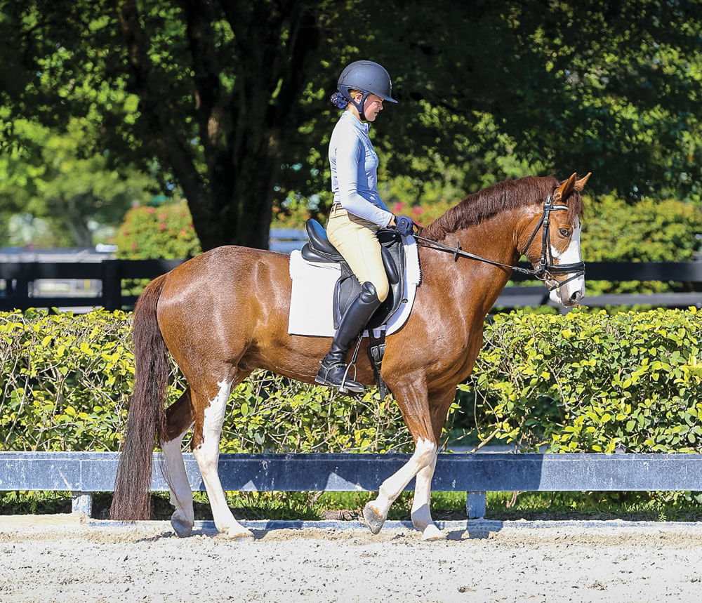 Cofanie na koniu - jak to poprawnie wykonać Sklep jeździecki