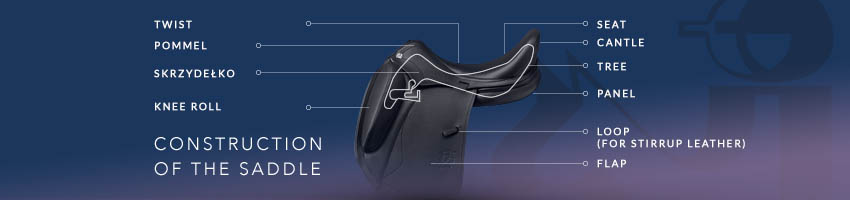 How to choose a saddle for your horse? Saddle compendium - EQUISHOP ...