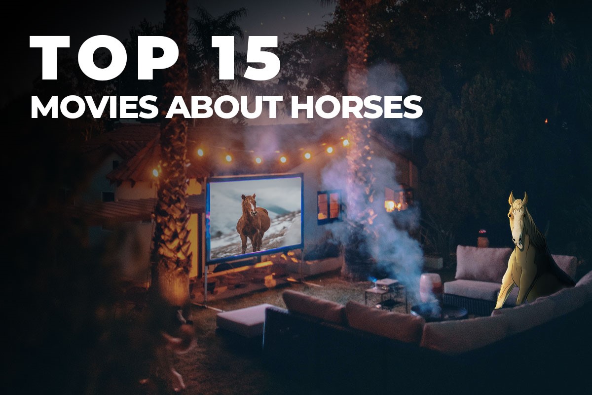Top 15 best movies about horses - EQUISHOP Equestrian Shop
