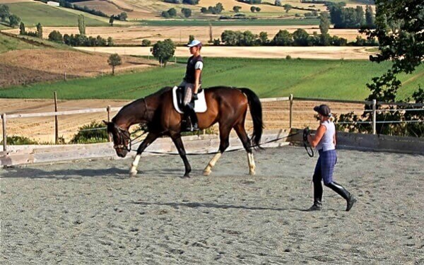 First horseback riding lessons - how to encourage and build a solid ...