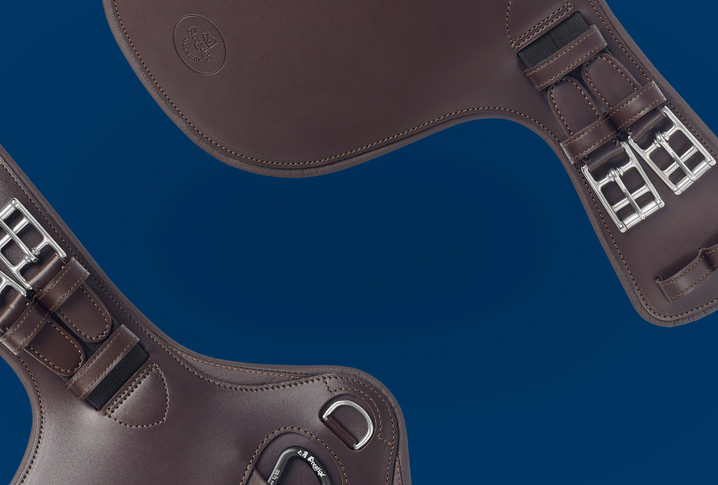 Why do you need a girth and how to fasten it properly? Tips for ...