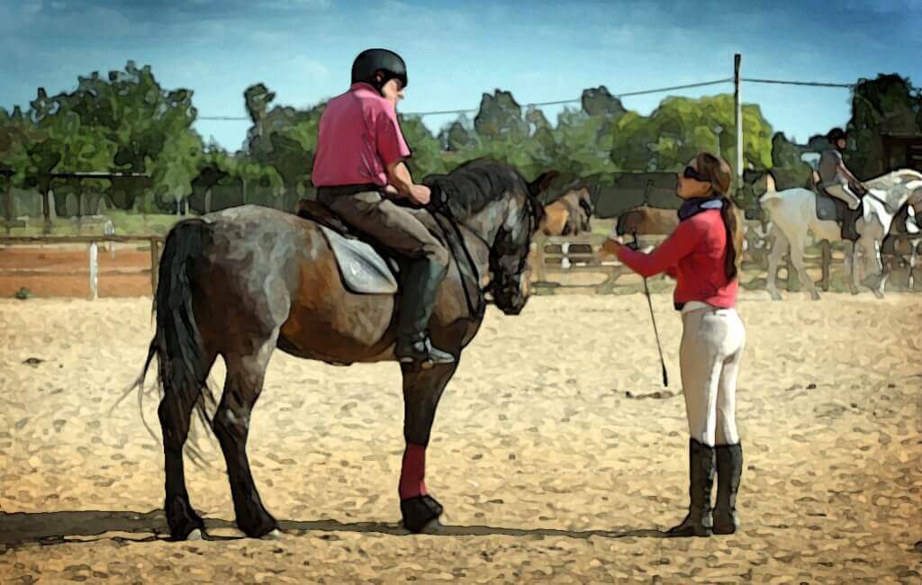 Types of instructors - find out which one you are working with ...